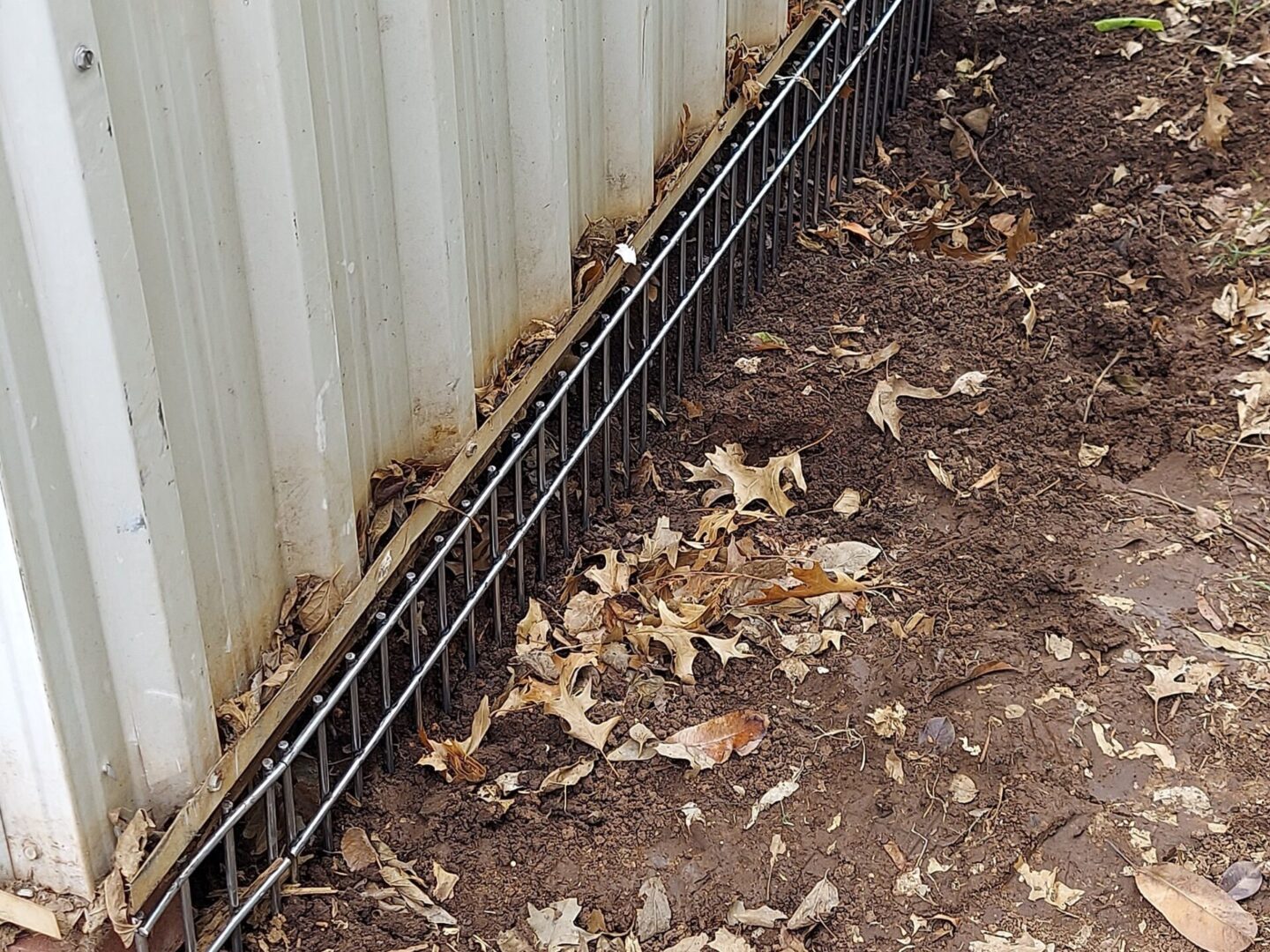 Expanding Our Services: Enhancing Your Home with Skunk Bait Wildlife ...