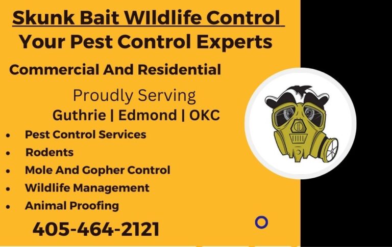 Commercial And Residential Pest Control | Edmond | Guthrie | Okc